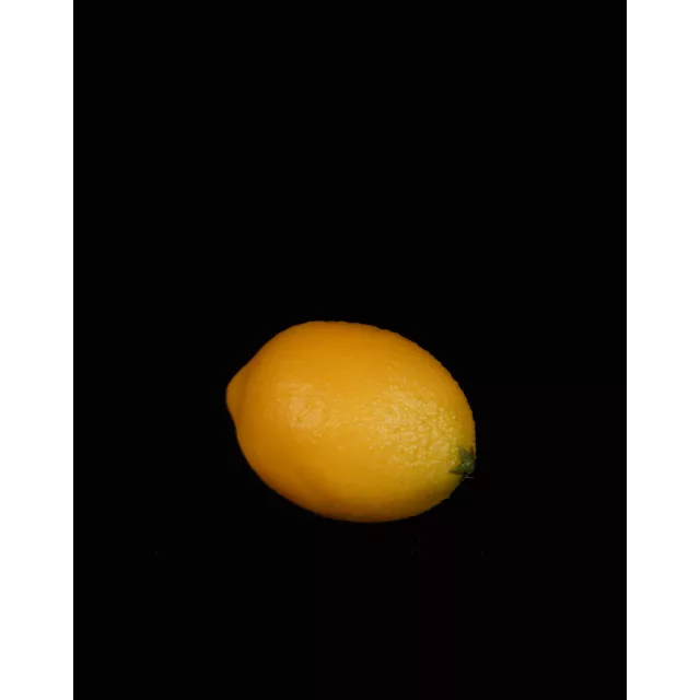 Fruits et Légumes artificiels