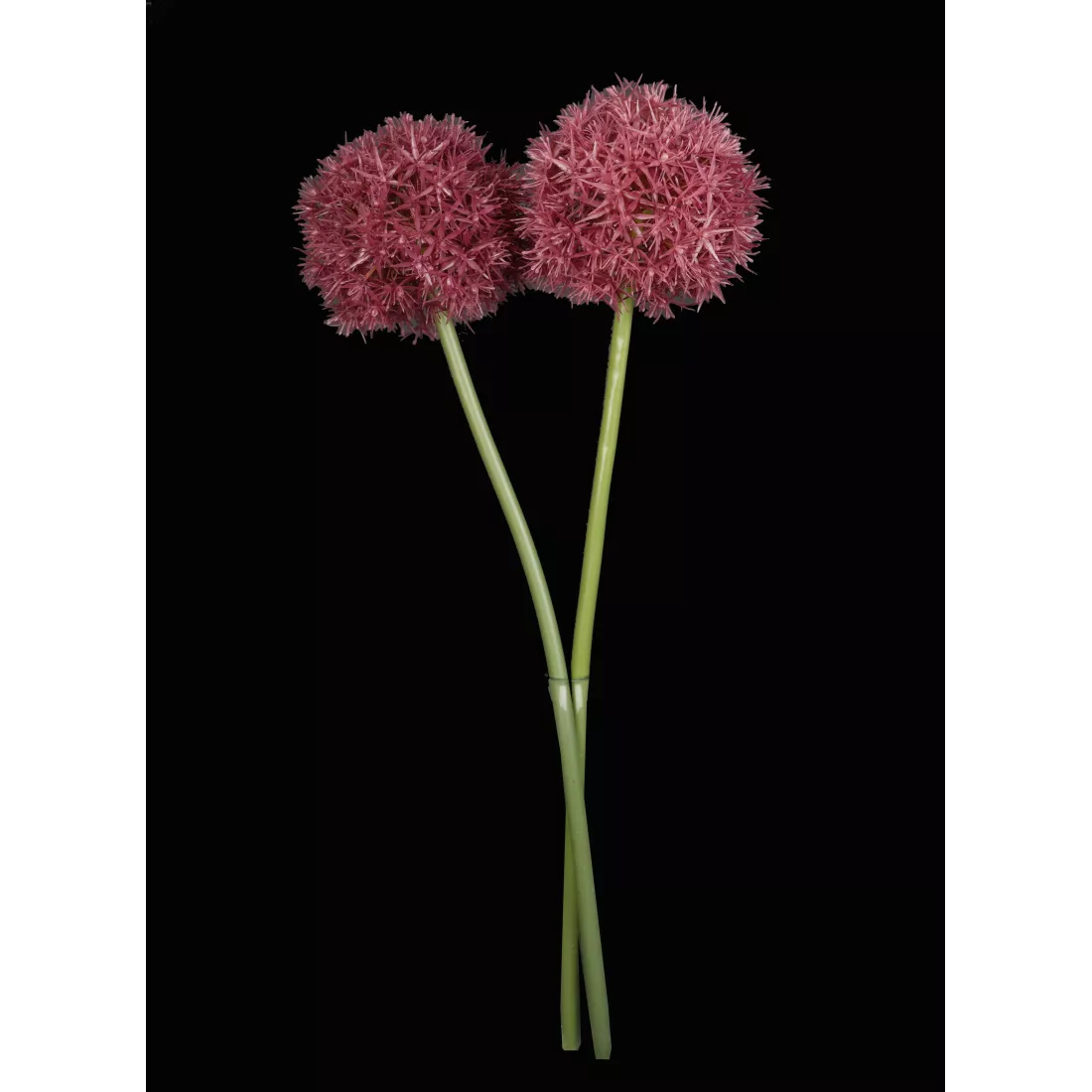 ALLIUM artificiel 67 cm - Fleurs factices de nos espaces verts ...