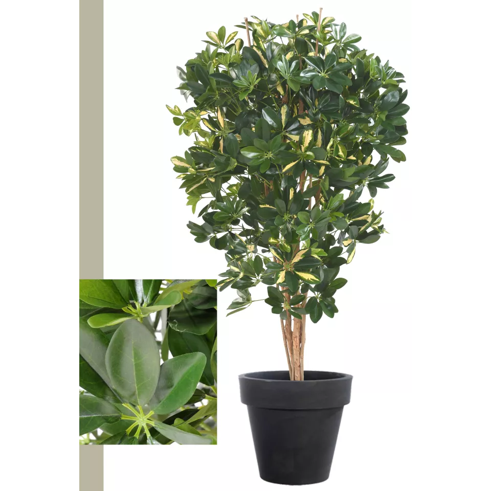 Schefflera artificiel vert ou vert/jaune 110 et 150 cm - arbres ...