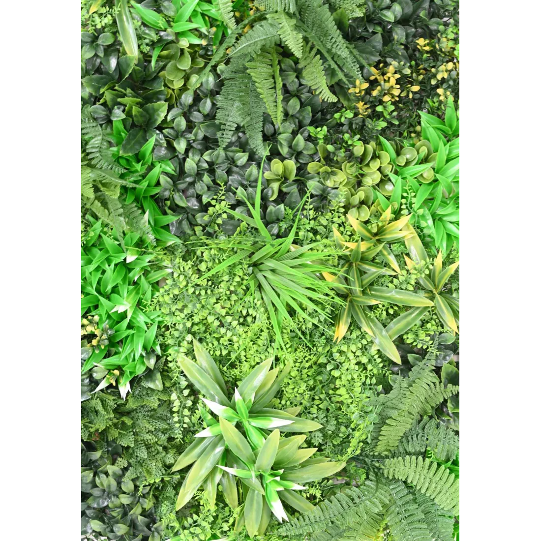 MUR VEGETAL L 100 x 100 cm - Mur végétal artificiel - Reflets Nature