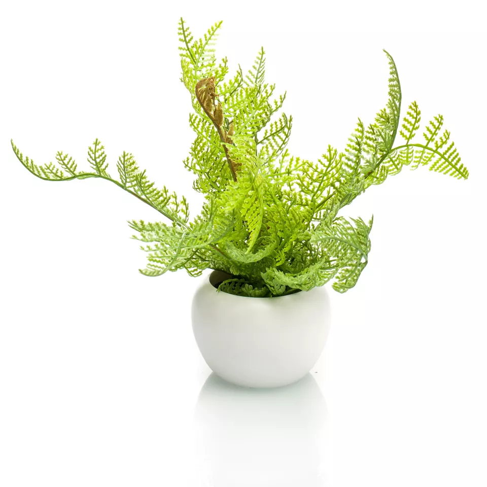 Mini fougere artificielle 17 cm en pot - mini plantes | Reflets Nature